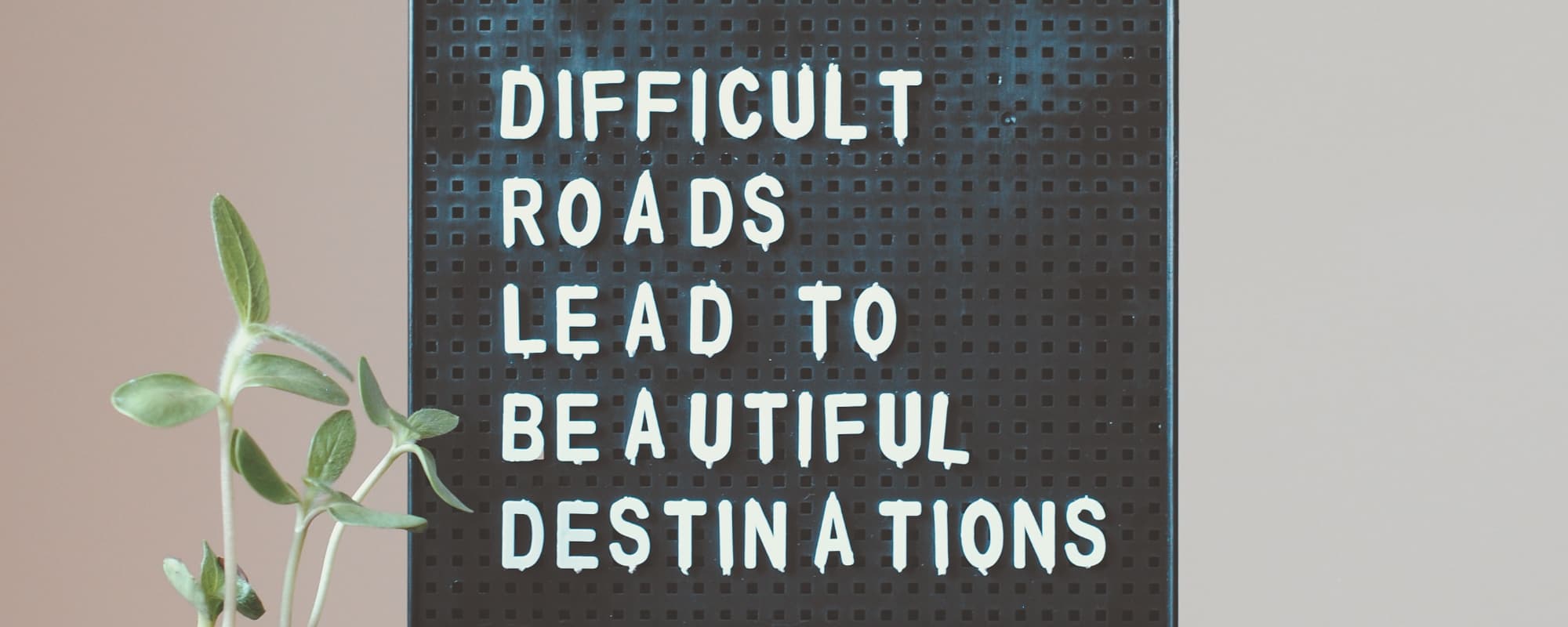 17 / Stratégie de croissance | NOMID